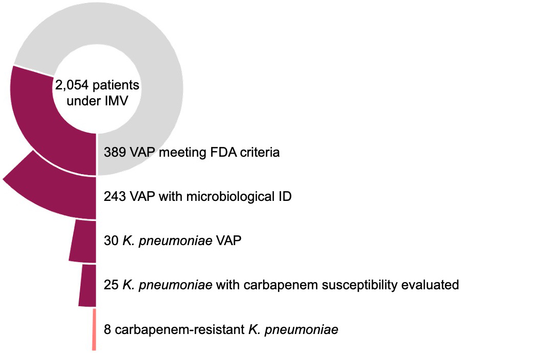 Ecraid network responds to hypervirulent Klebsiella pneumoniae warning | Ecraid